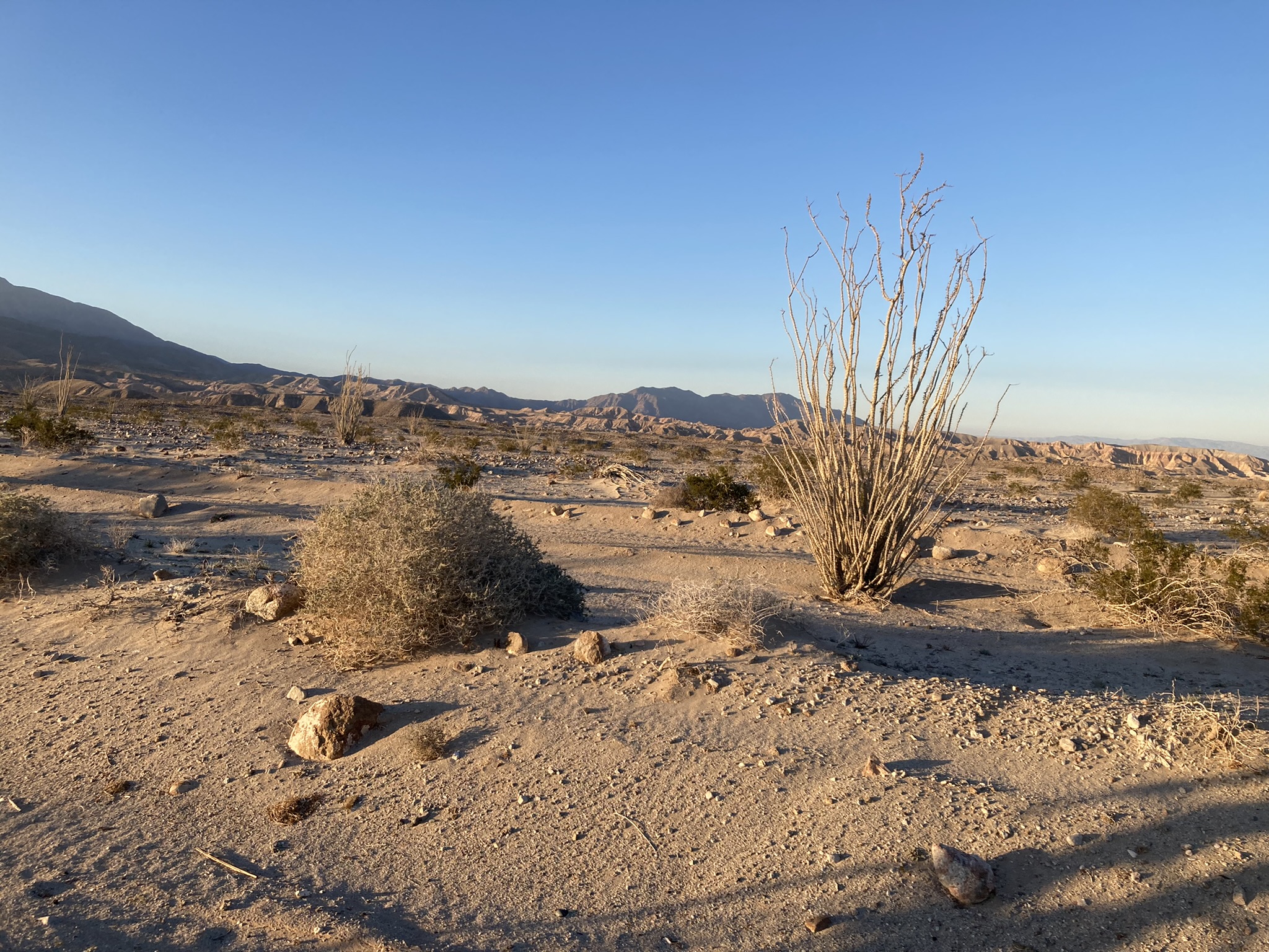 310 to Yuma – SD Randos